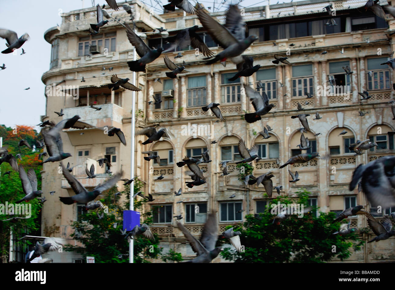 Building in Mumbai, India, birds flying in foreground Stock Photo - Alamy