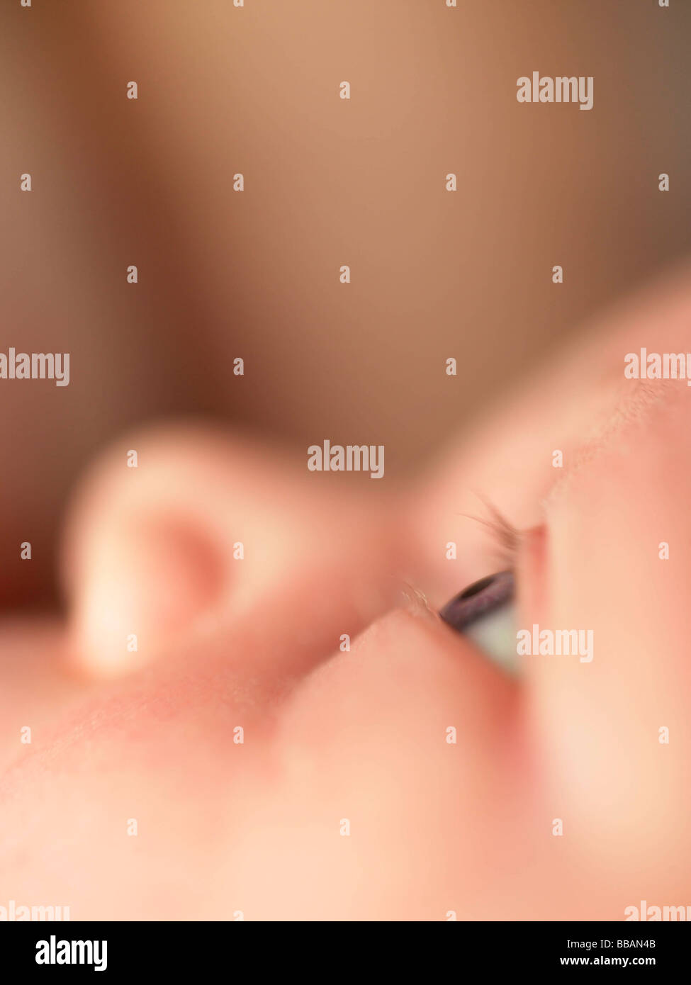 Human Newborn Baby Head High Resolution Stock Photography and Images ...