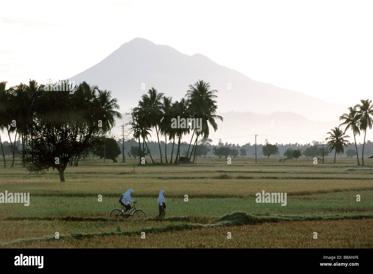 Indonesia, Sumatra, Aceh, two Muslim girls walking on rice paddies ...