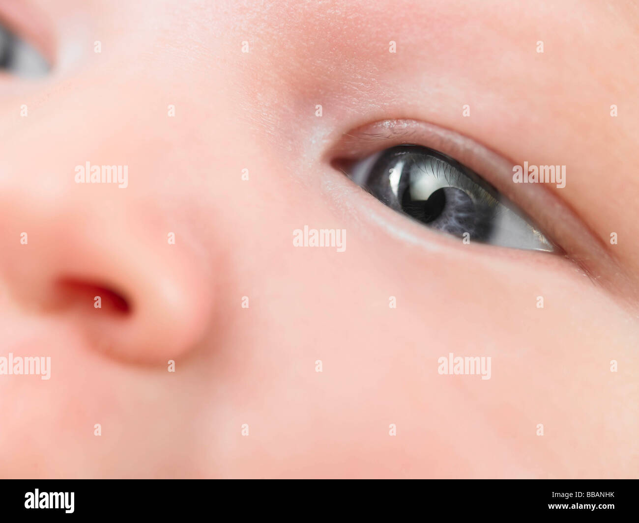 Brussels eye hi-res stock photography and images - Alamy