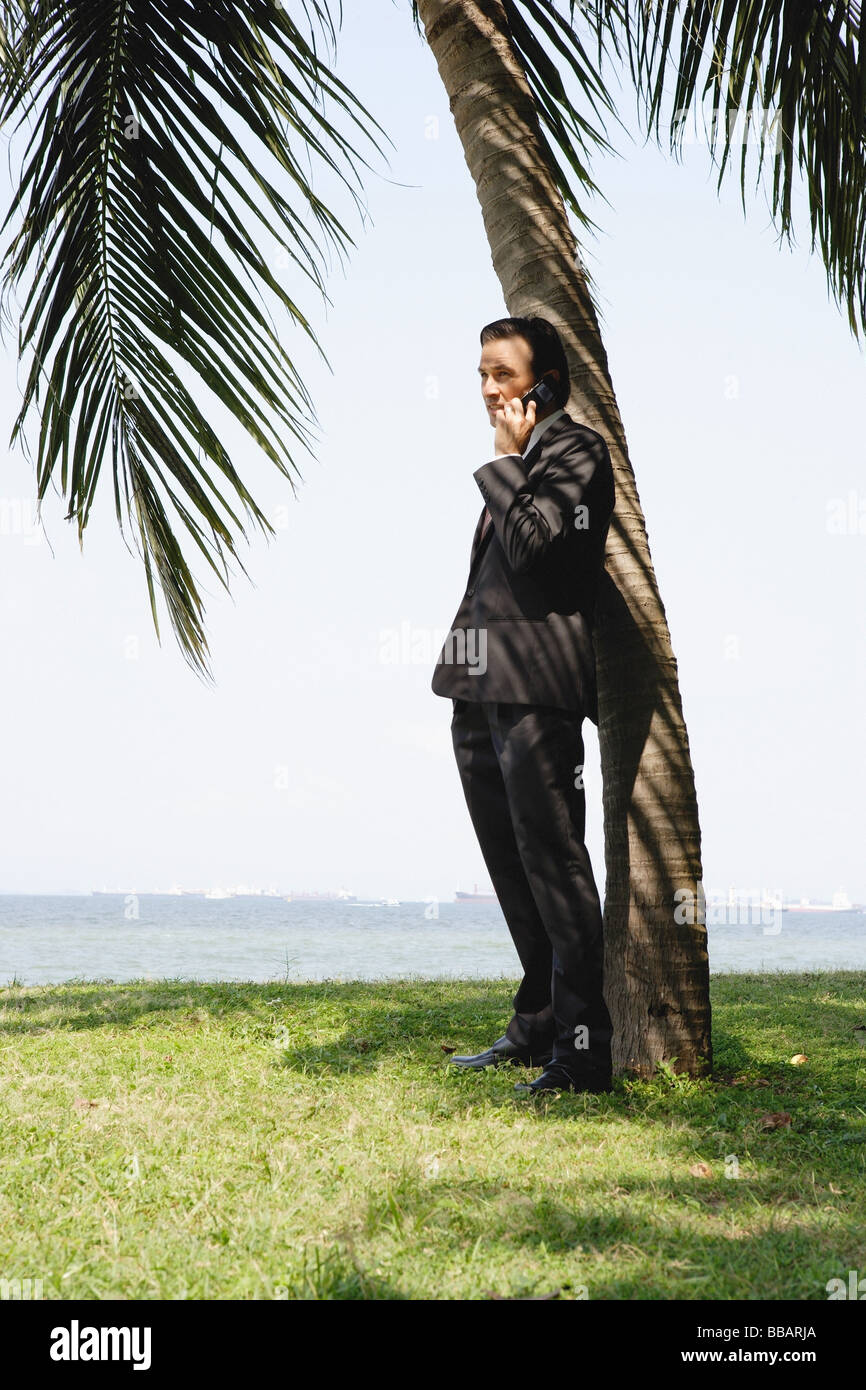 Businessman standing underneath tree, using mobile phone Stock Photo ...