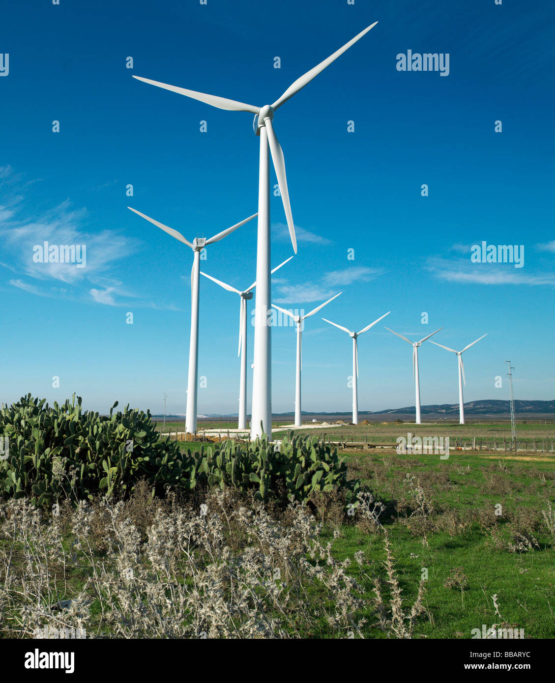 Field of wind turbines Stock Photo - Alamy