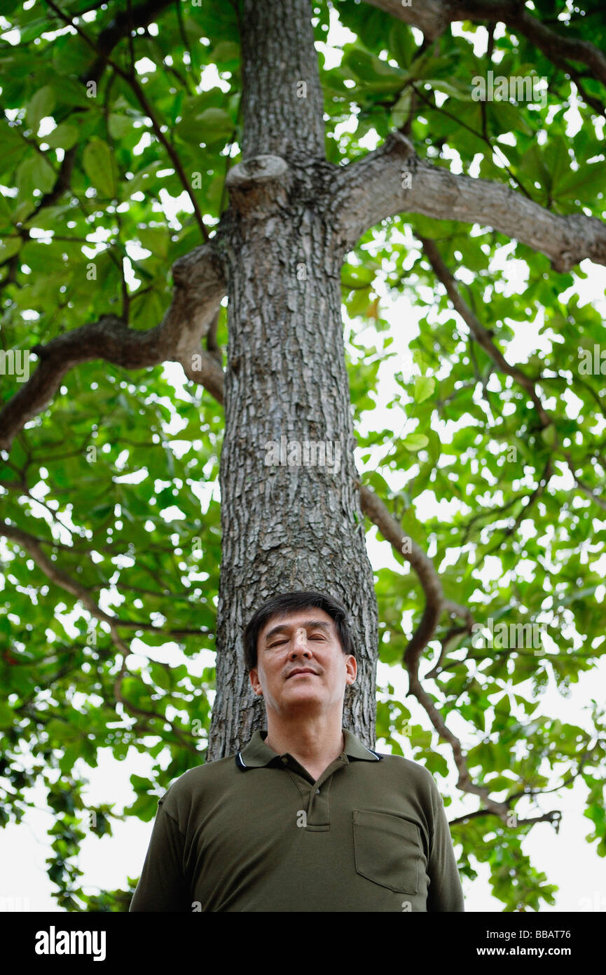 Man standing under tree, relaxing Stock Photo - Alamy