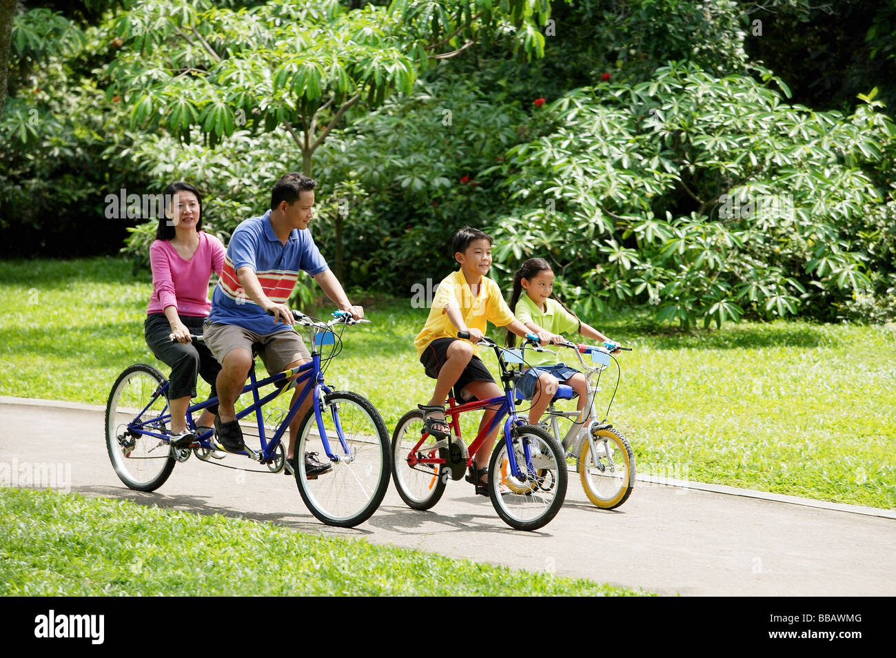 Family in park, cycling Stock Photo - Alamy