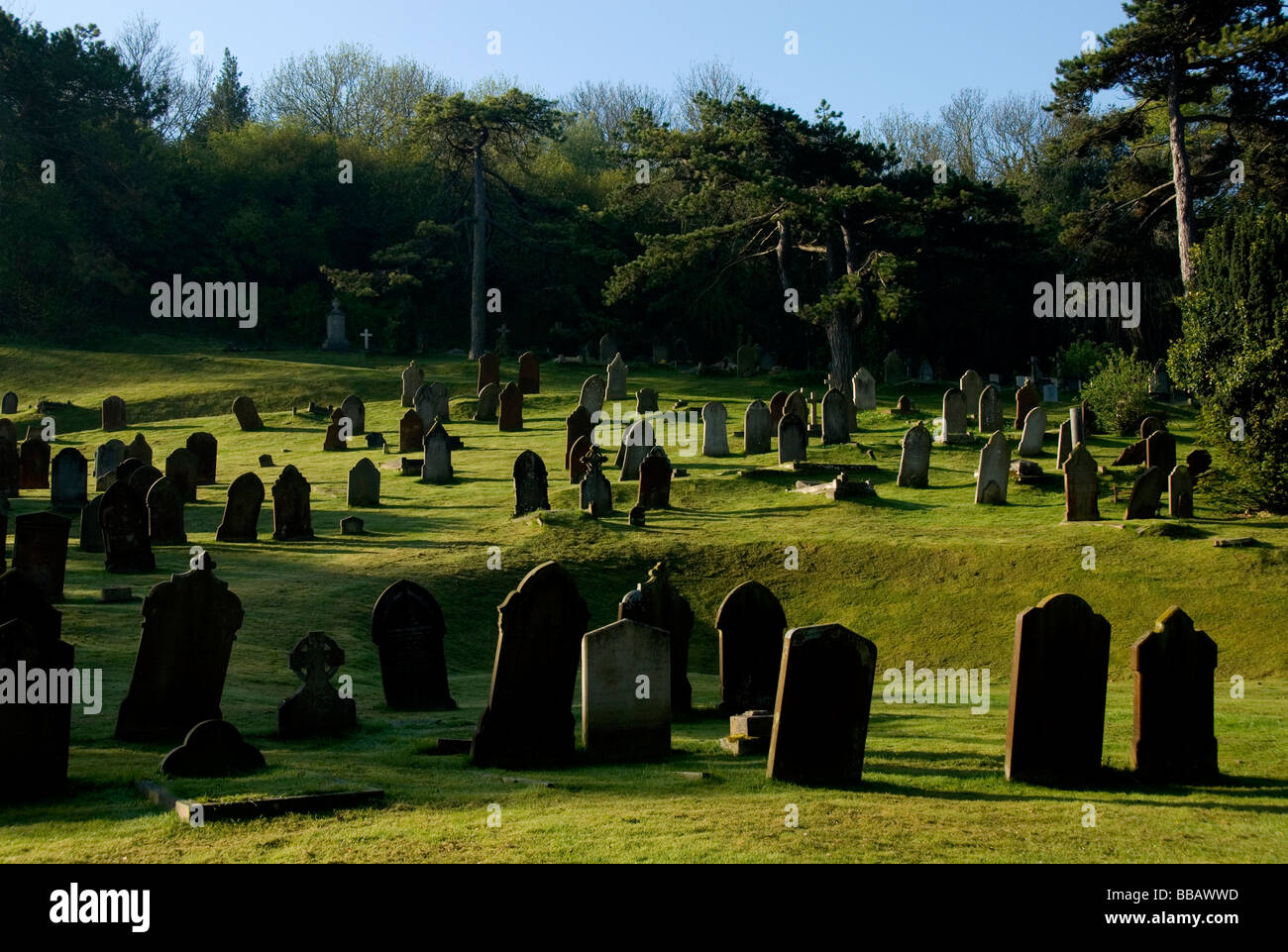 Dover of peace hi-res stock photography and images - Alamy