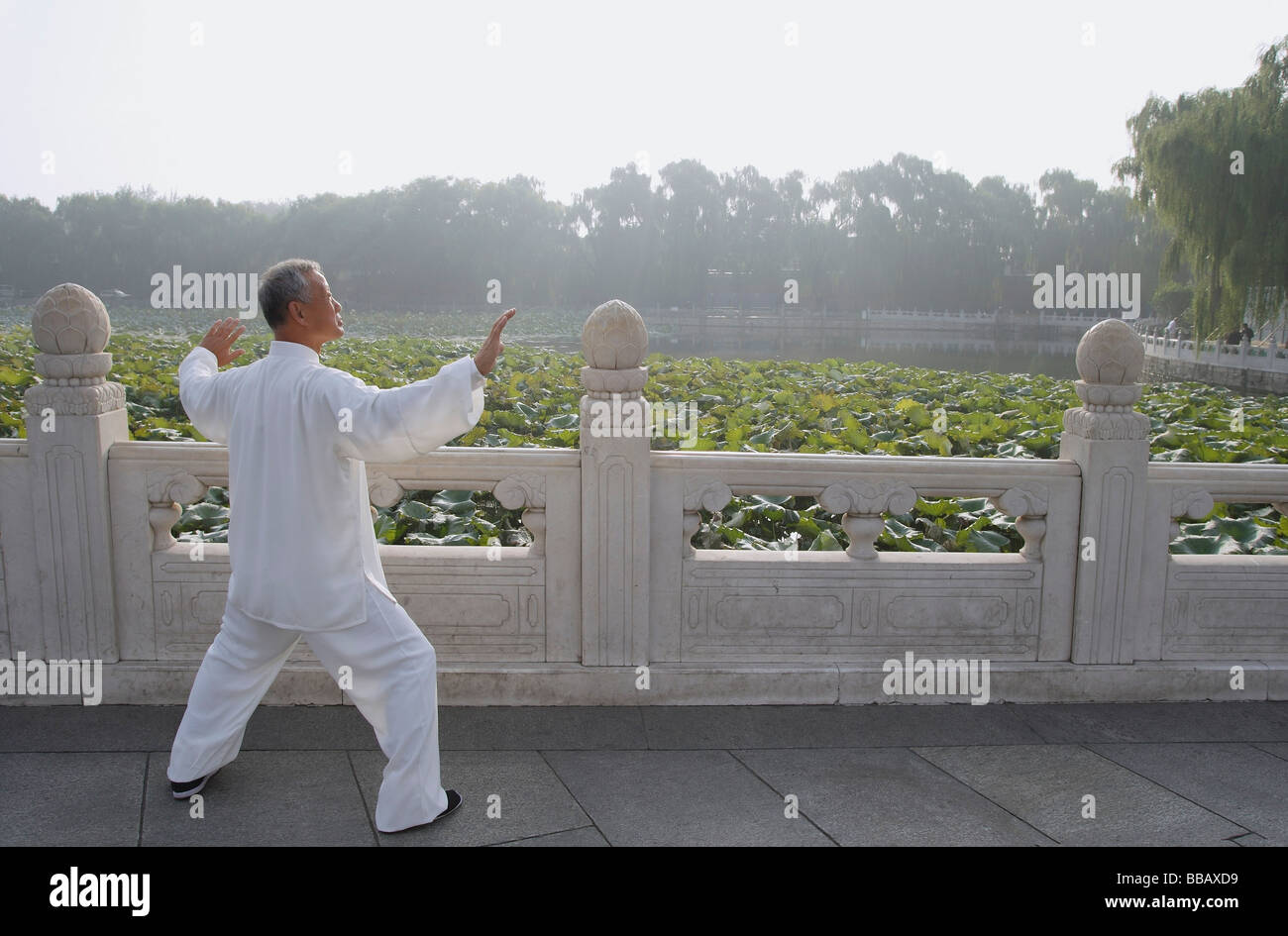 Old chinese men exercising hi-res stock photography and images - Alamy