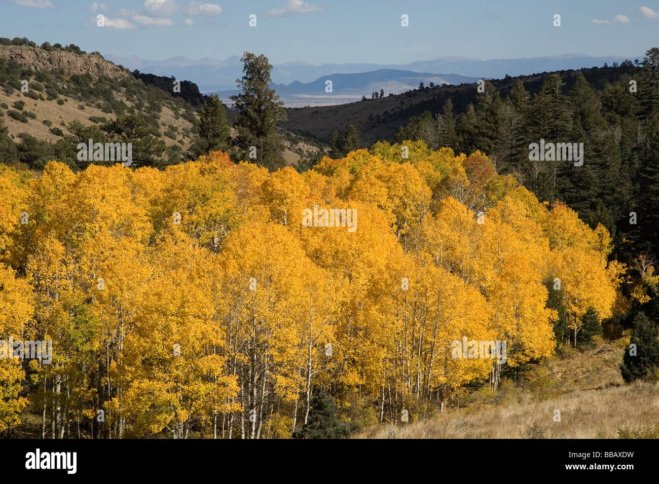 Conejos County Colorado USA San Luis Valley from Ra Jadero Canyon Stock ...