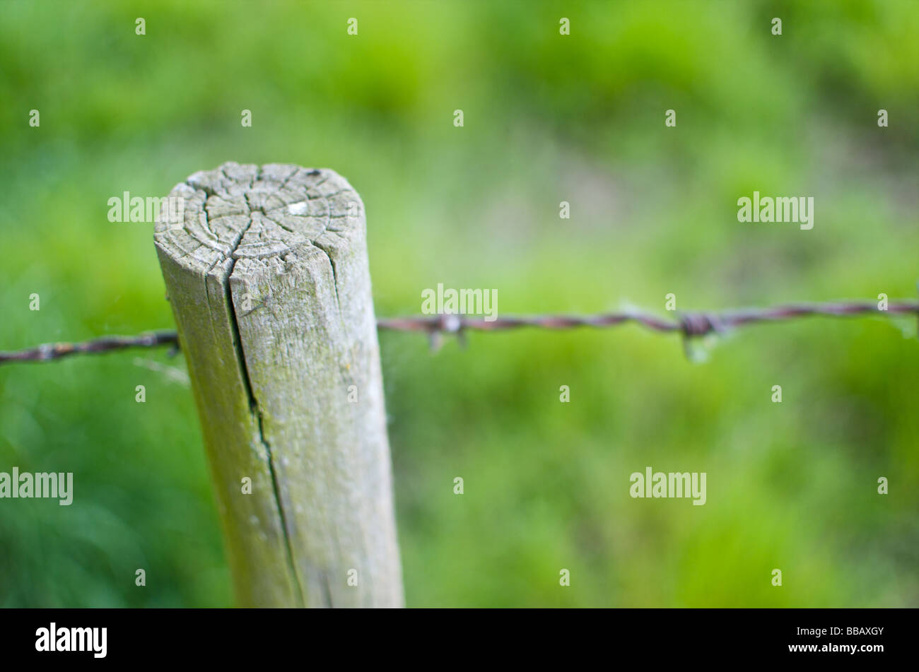 A fence post with barbed wire at the edge of a field. Close up shot ...