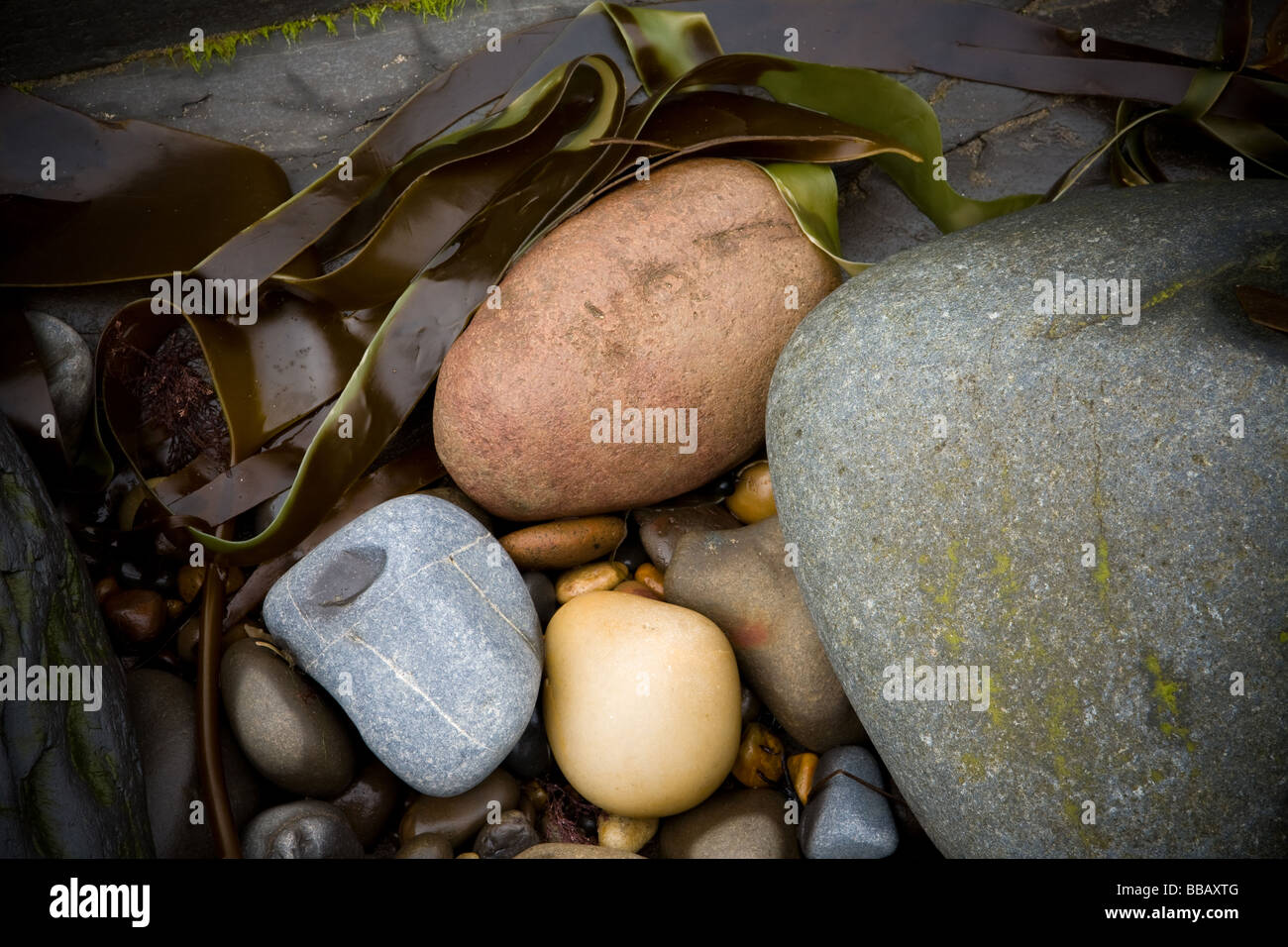 Rocks Pebbles and Boulders at Port Mulgrave North Yorkshire England ...