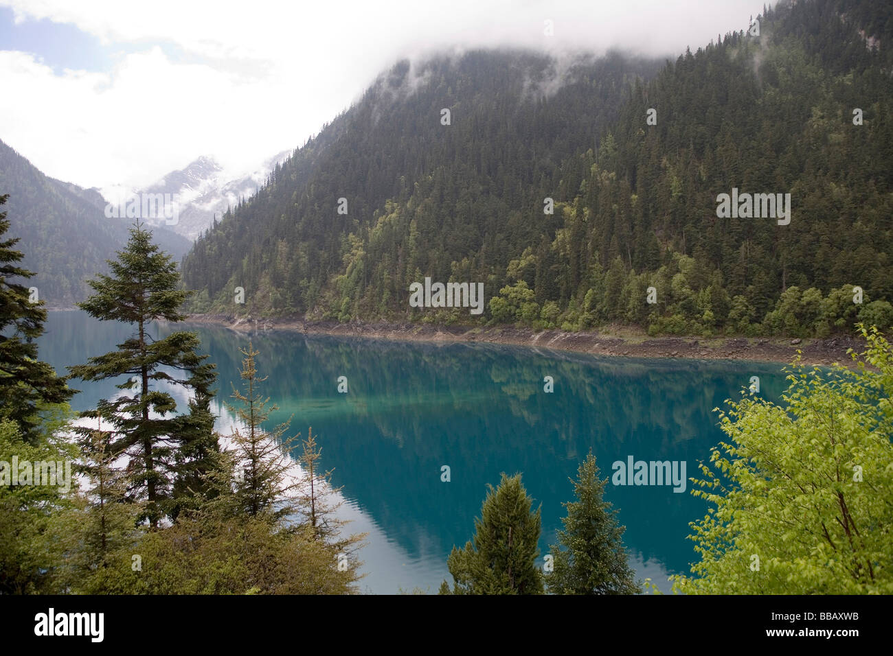 Zhanghai (Long lake), Jiuzhaigou scenic Area, Wuhang, China Stock Photo ...