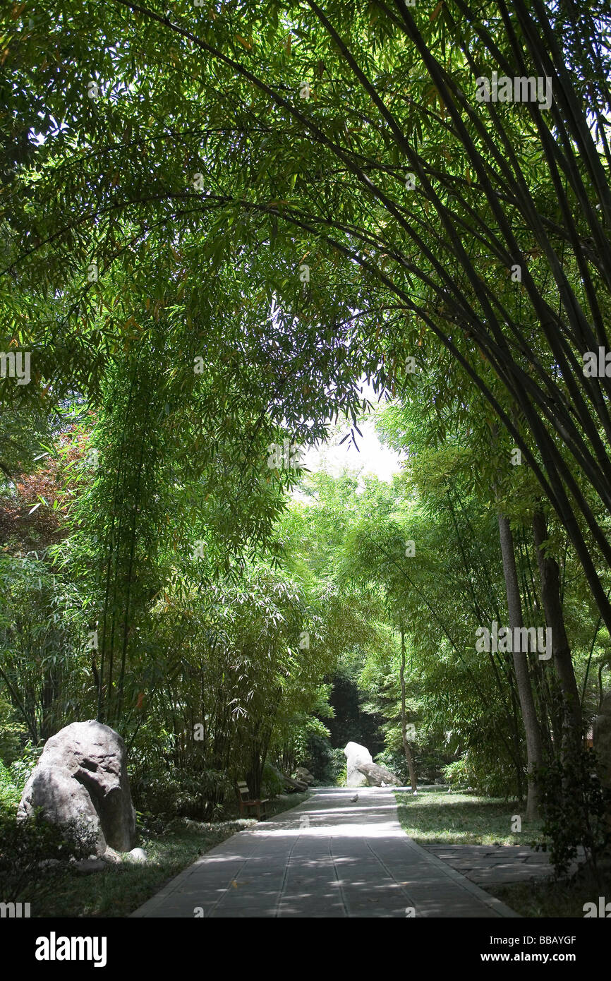 Birth Death And Du Fu