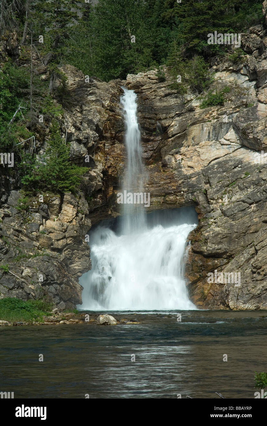 Eagle is running hi-res stock photography and images - Alamy