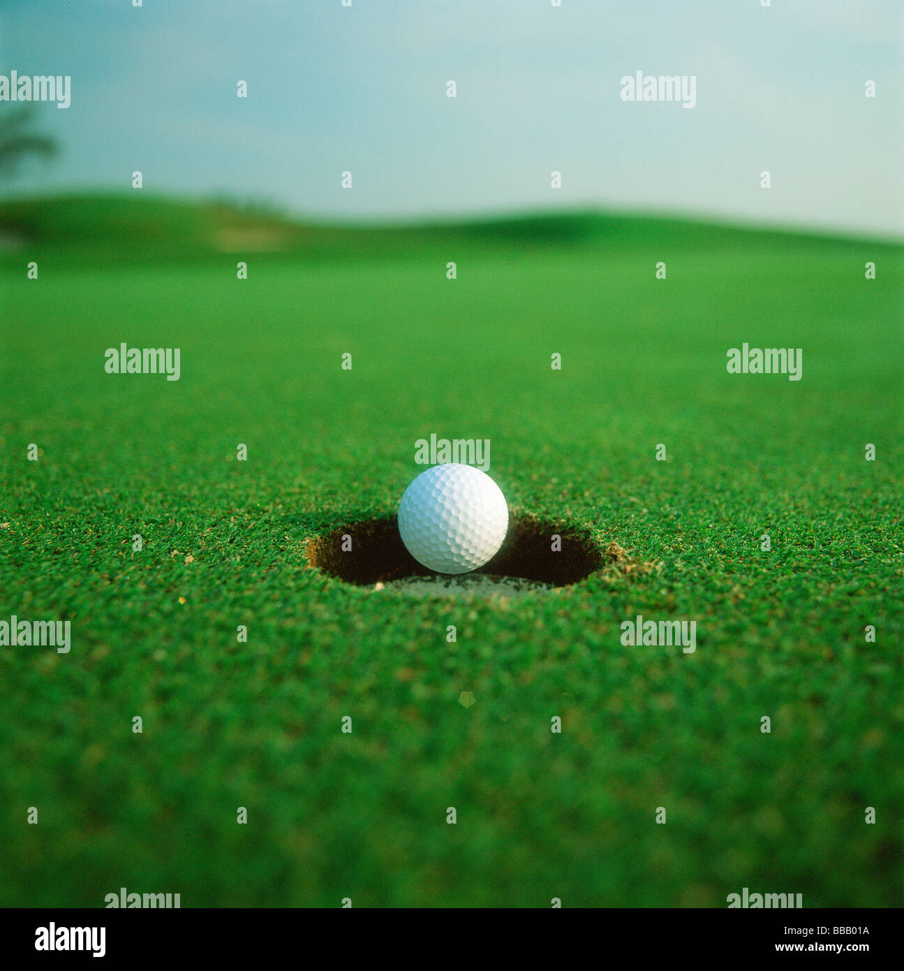 Golf ball dropping in to hole Stock Photo - Alamy