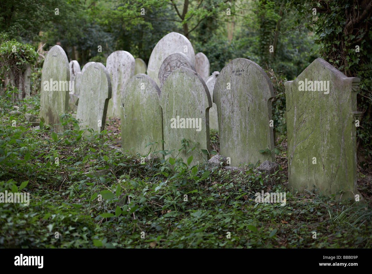 Silent grave hi-res stock photography and images - Alamy