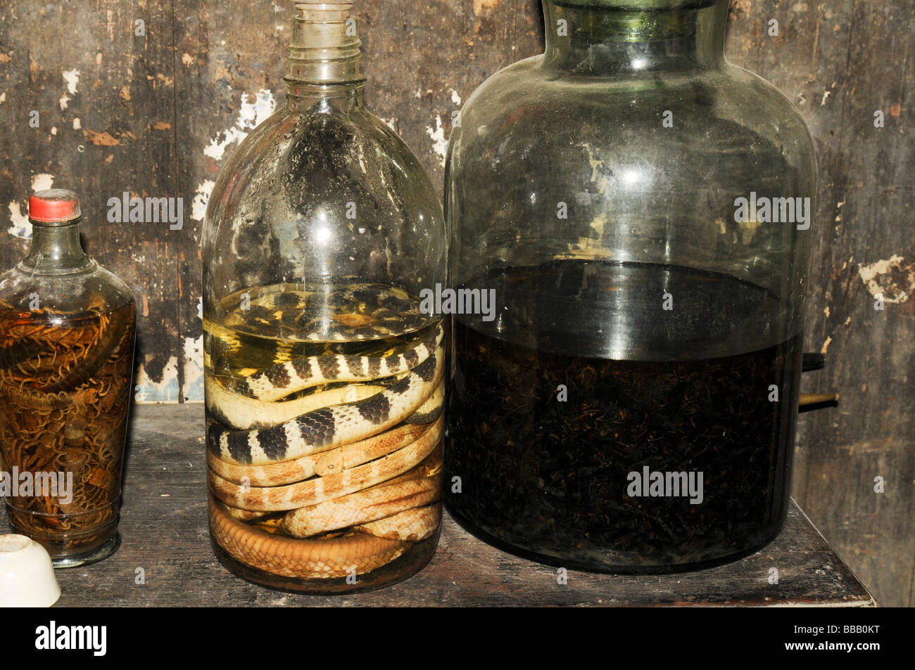 Snakes of china hi-res stock photography and images - Alamy