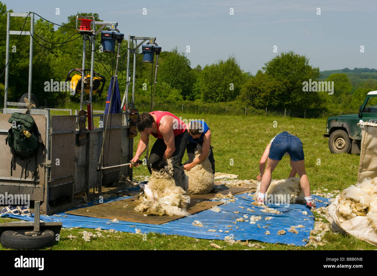 Farmer sheep shears hi-res stock photography and images - Alamy
