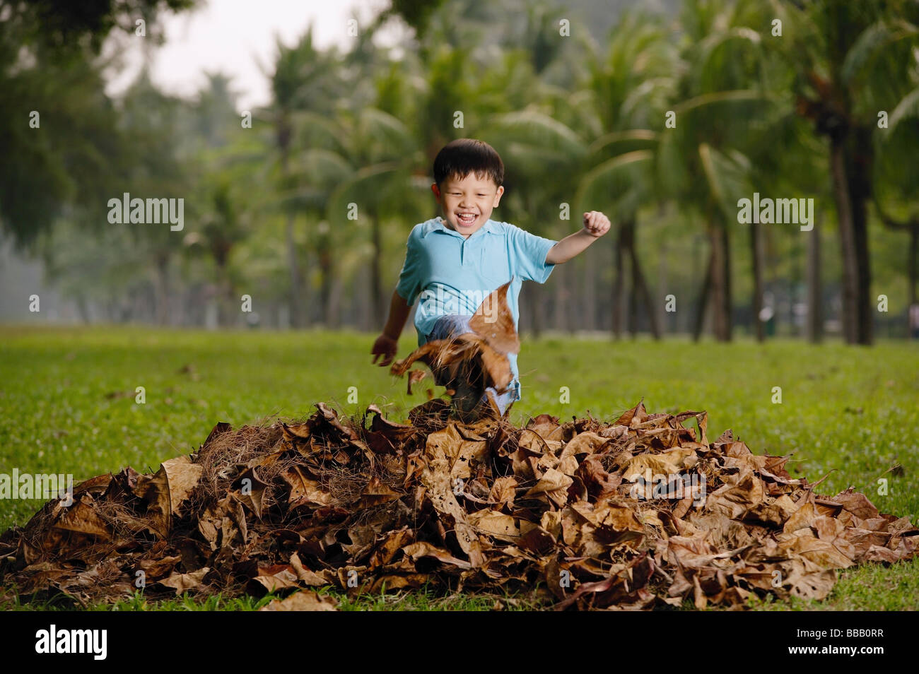 Young boy in park, kicking a pile of leaves Stock Photo - Alamy