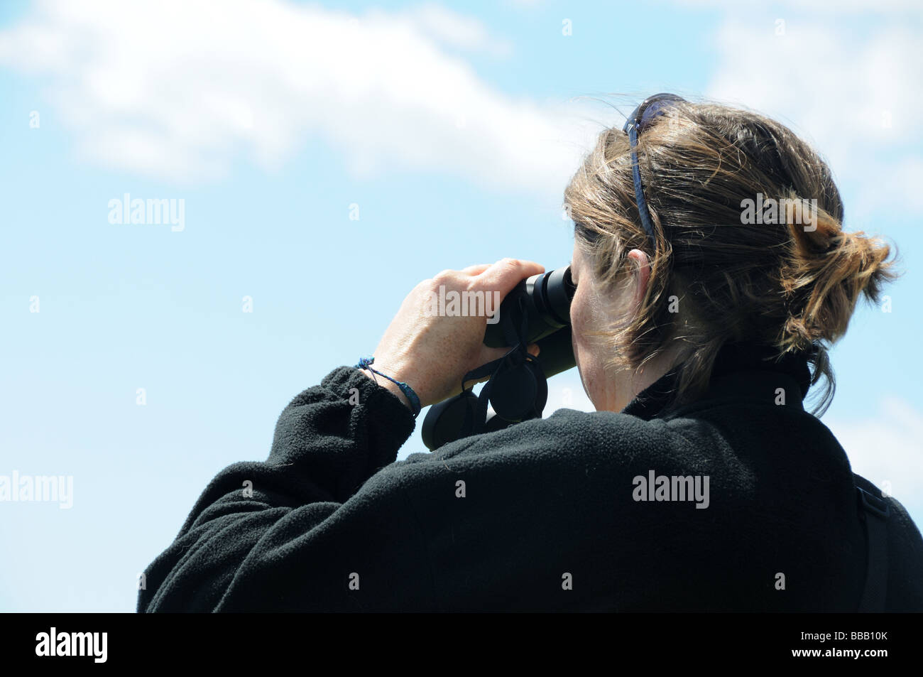 Birdwatching with binoculars hi-res stock photography and images - Alamy
