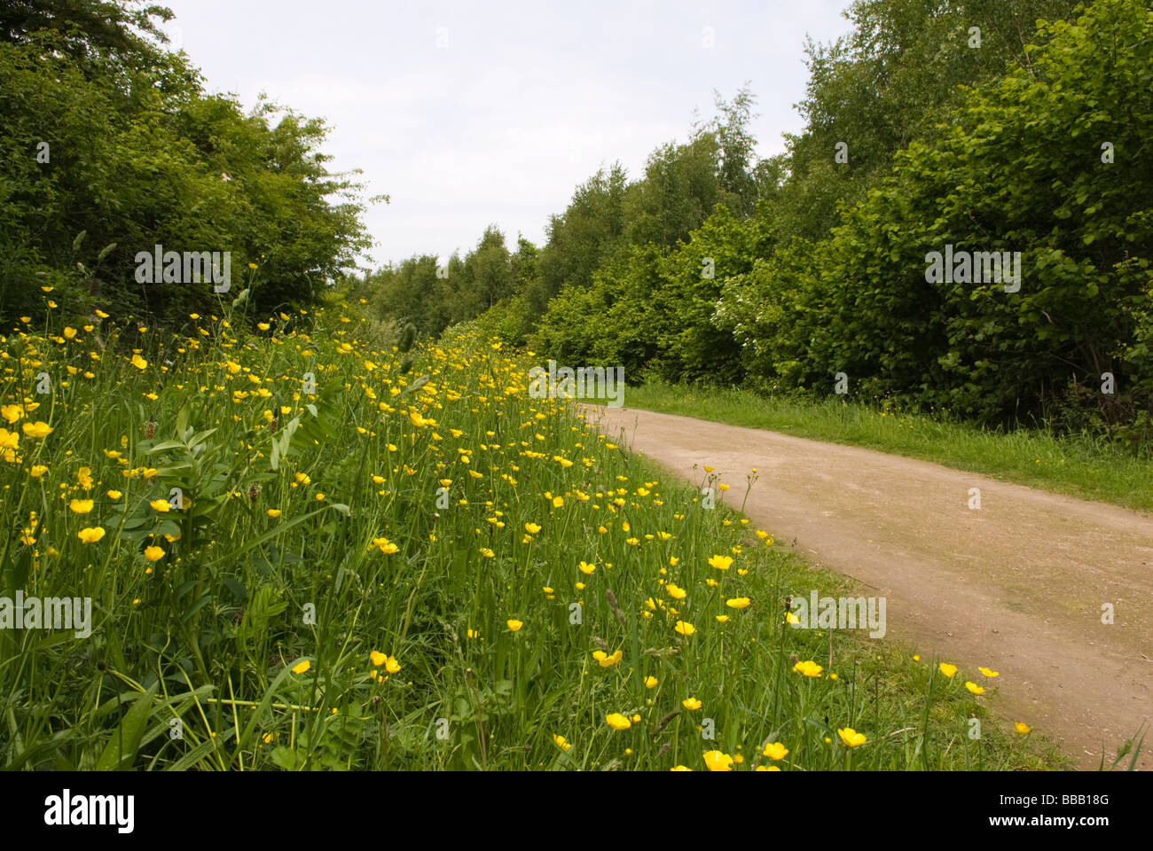 Blackburn south hi-res stock photography and images - Alamy