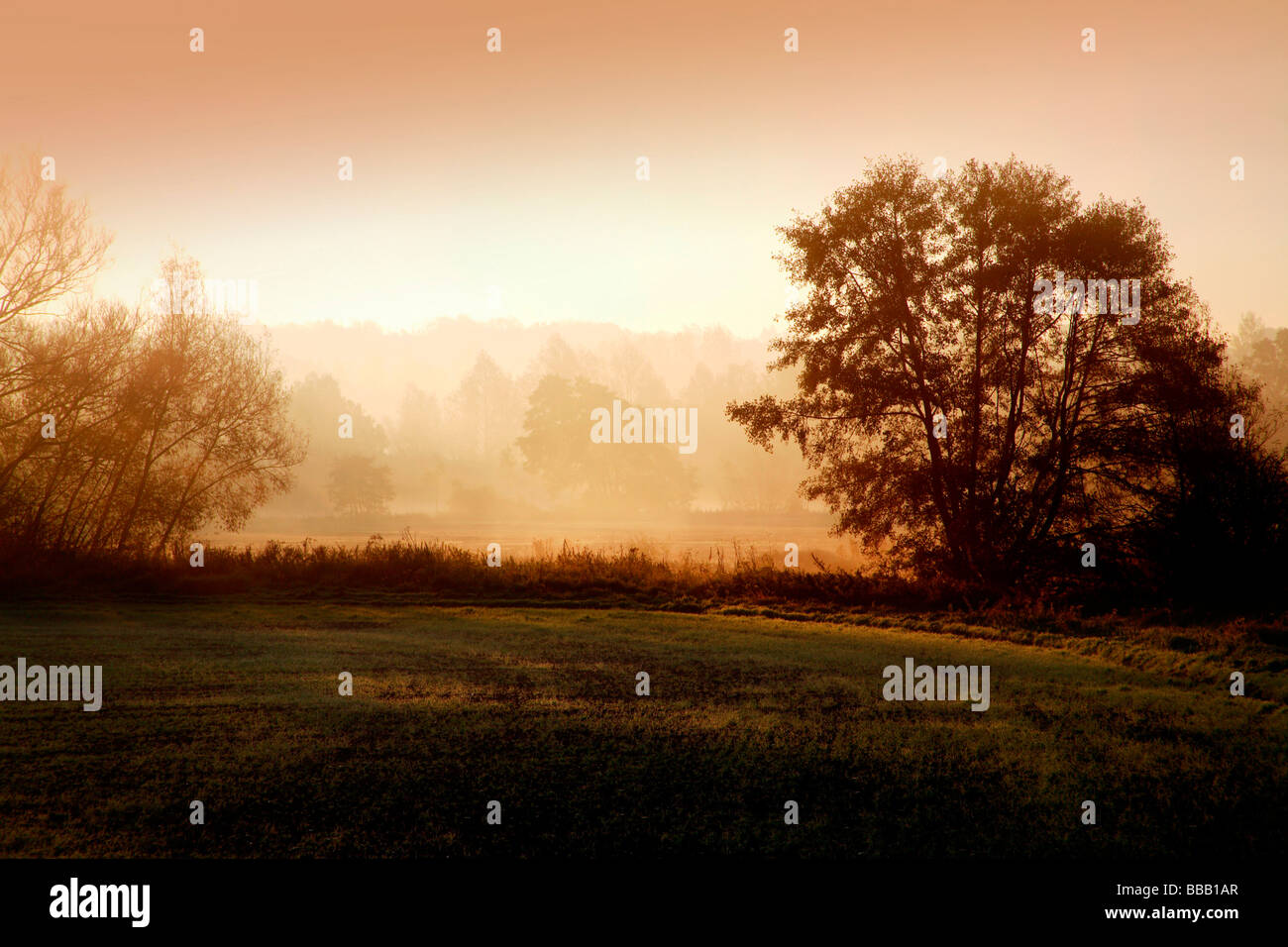 Early morning sunrise across fields Stock Photo - Alamy