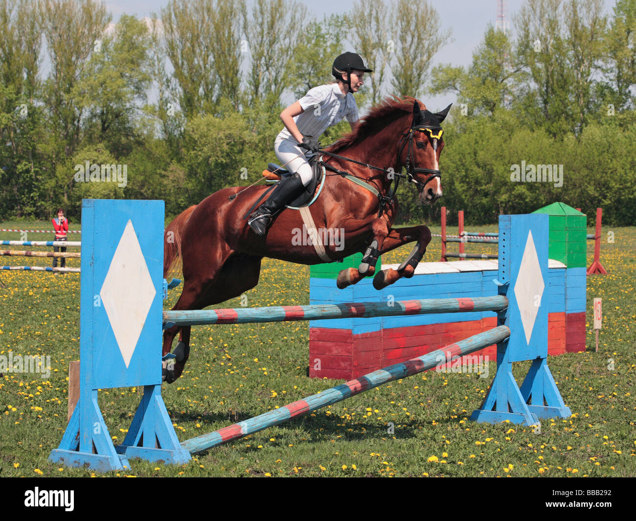 Horse and rider jumping fence Stock Photo - Alamy