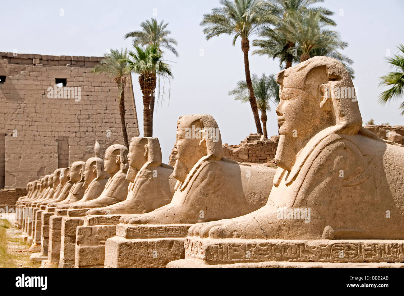 Luxor Temple Egypt was the house of Amon Ra Stock Photo - Alamy