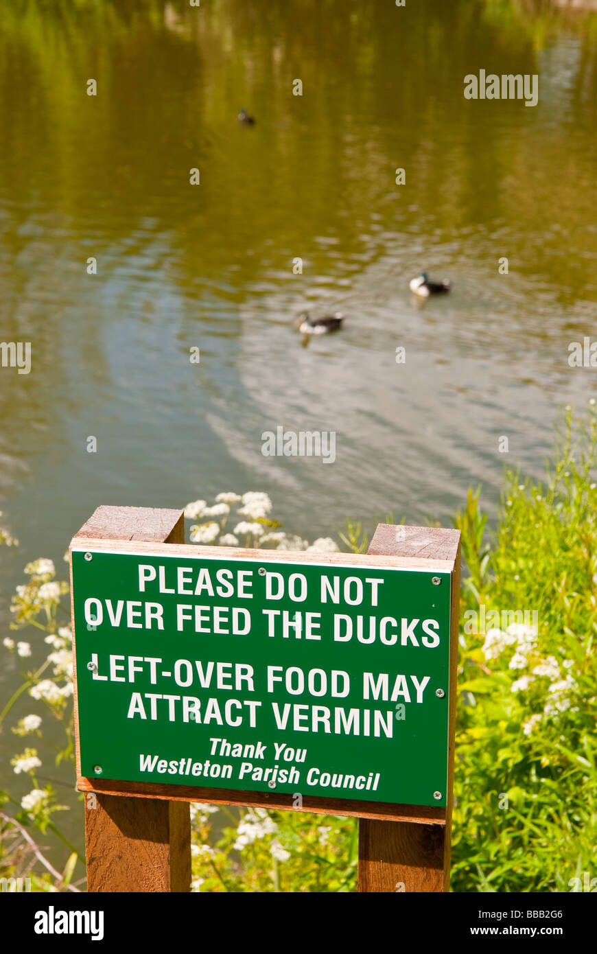 English village signs duck hi-res stock photography and images - Alamy