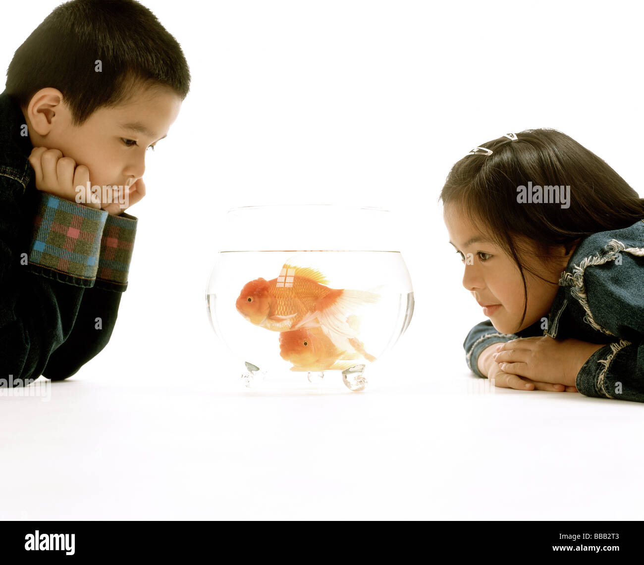 Young girl and boy looking at goldfish in glass bowl, white background ...