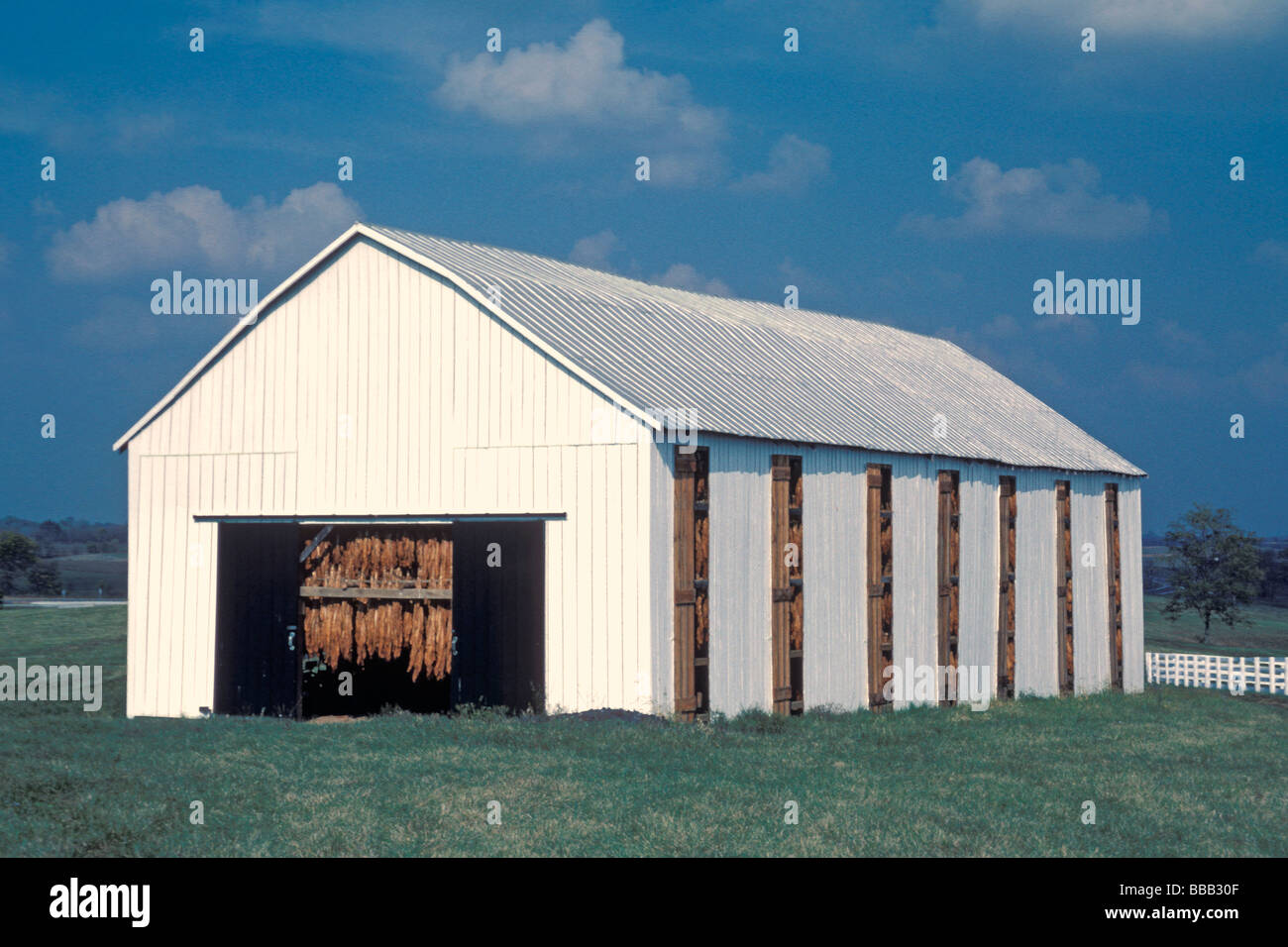 Tobacco drying barn in Kentucky Stock Photo - Alamy