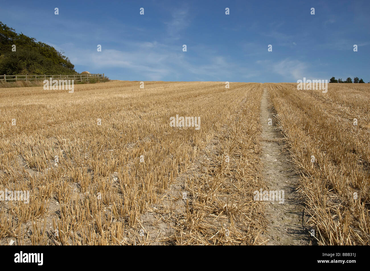 summer landscape with hay bales and deep blue skyscape Stock Photo - Alamy
