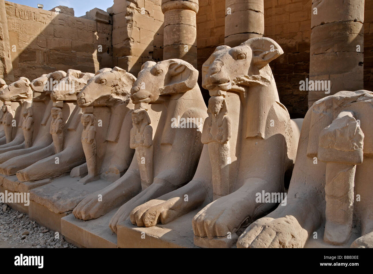 Temple of amon hi-res stock photography and images - Alamy