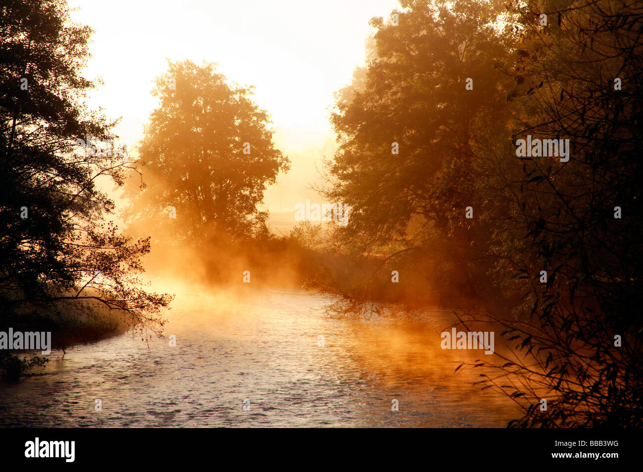 mist rising of river in early morning light Stock Photo - Alamy