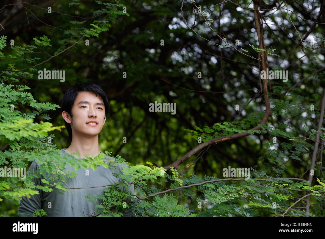 Young man standing in foliage Stock Photo - Alamy
