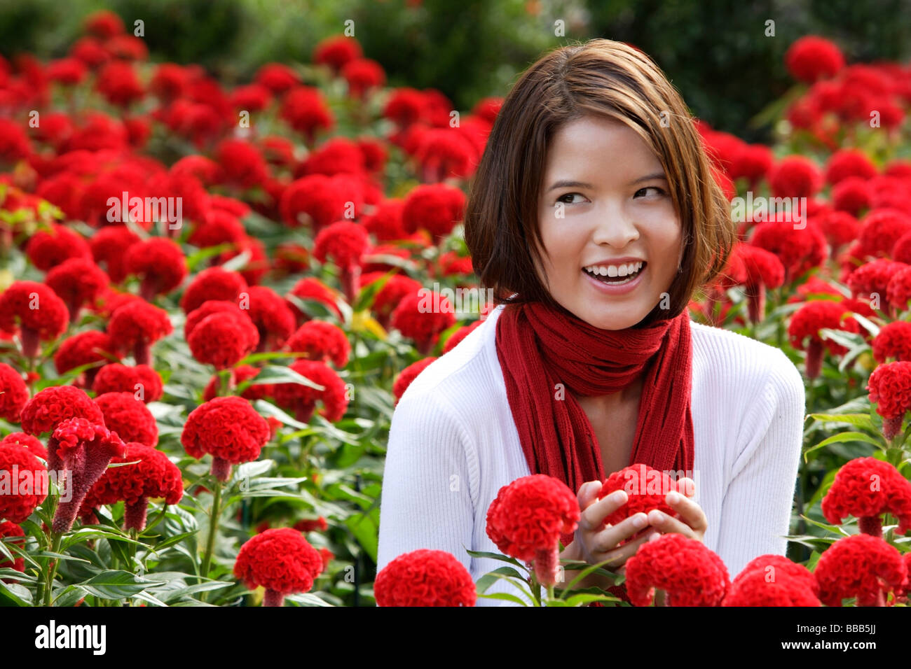 In among flowers hi-res stock photography and images - Alamy
