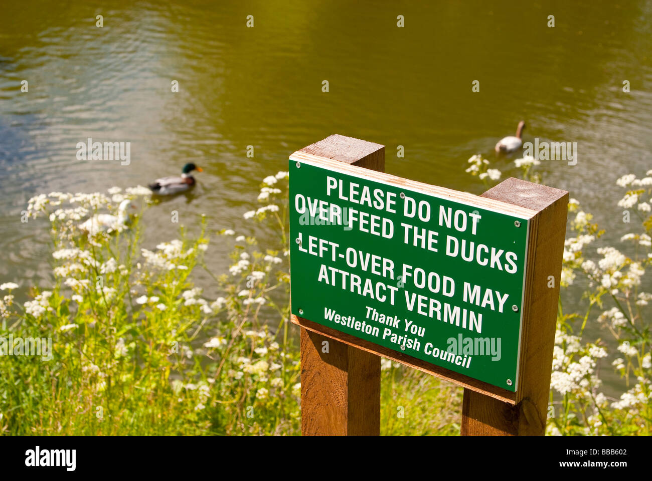 A sign saying please do not over feed the ducks at the village pond in ...