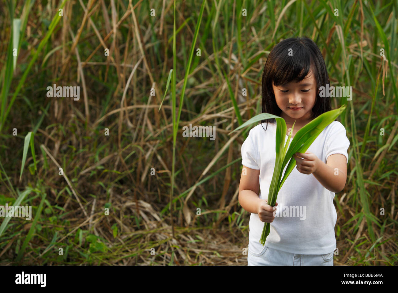 Girl looking at green grass, hope, nature Stock Photo - Alamy