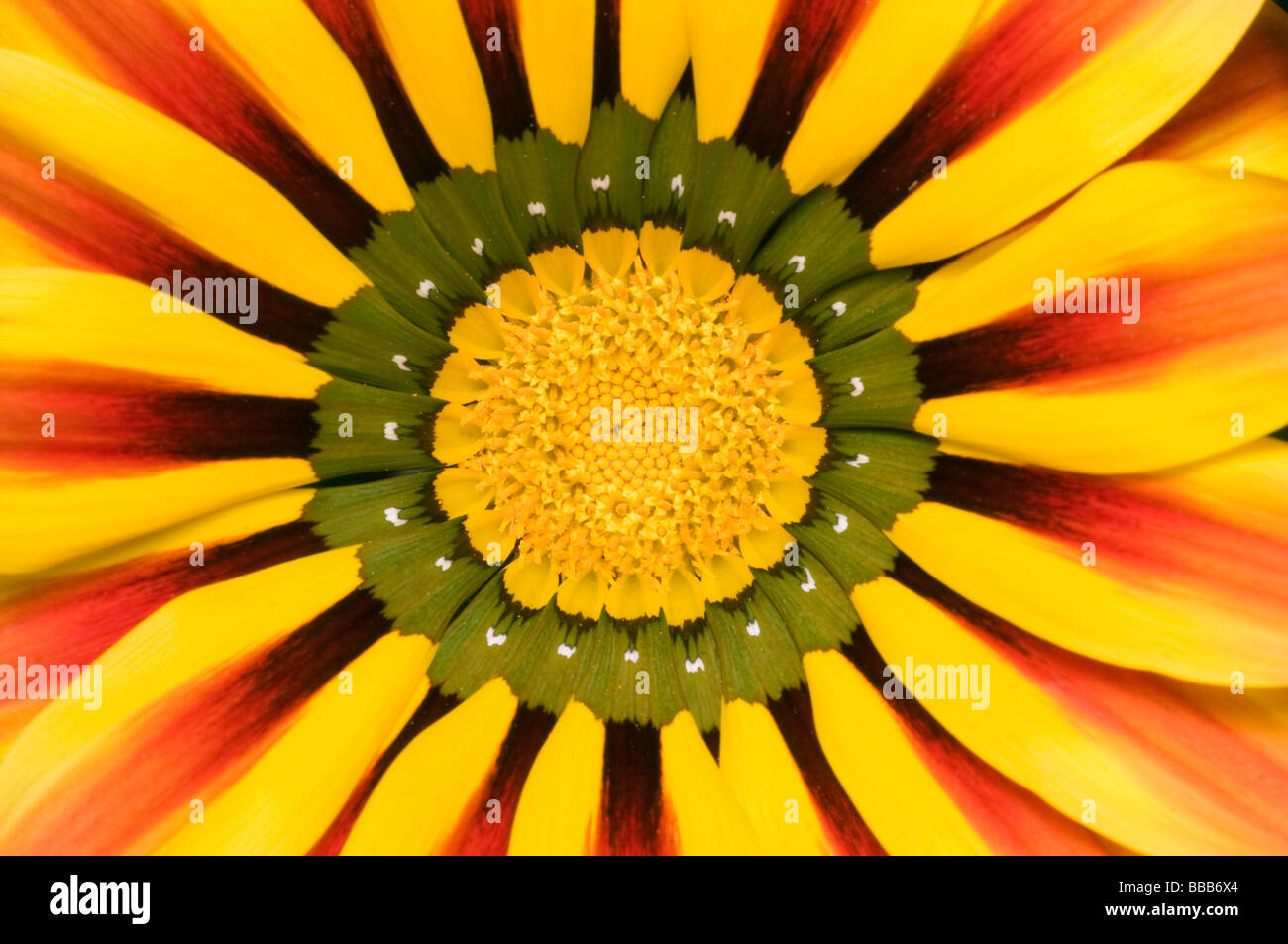 Center Of Interest Examples