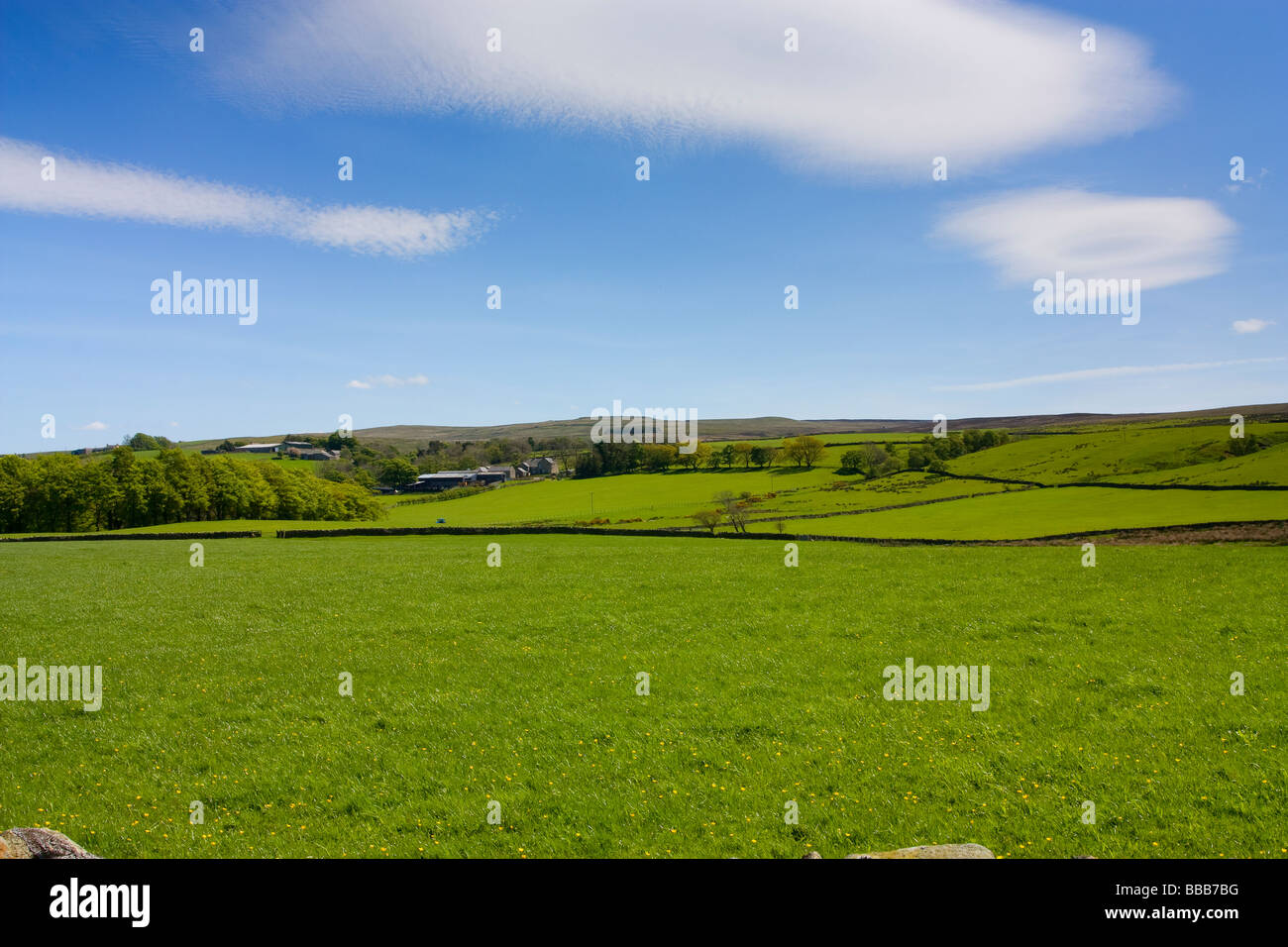 Farm land near Coanwood in the river South Tyne Valley, Tynedale ...