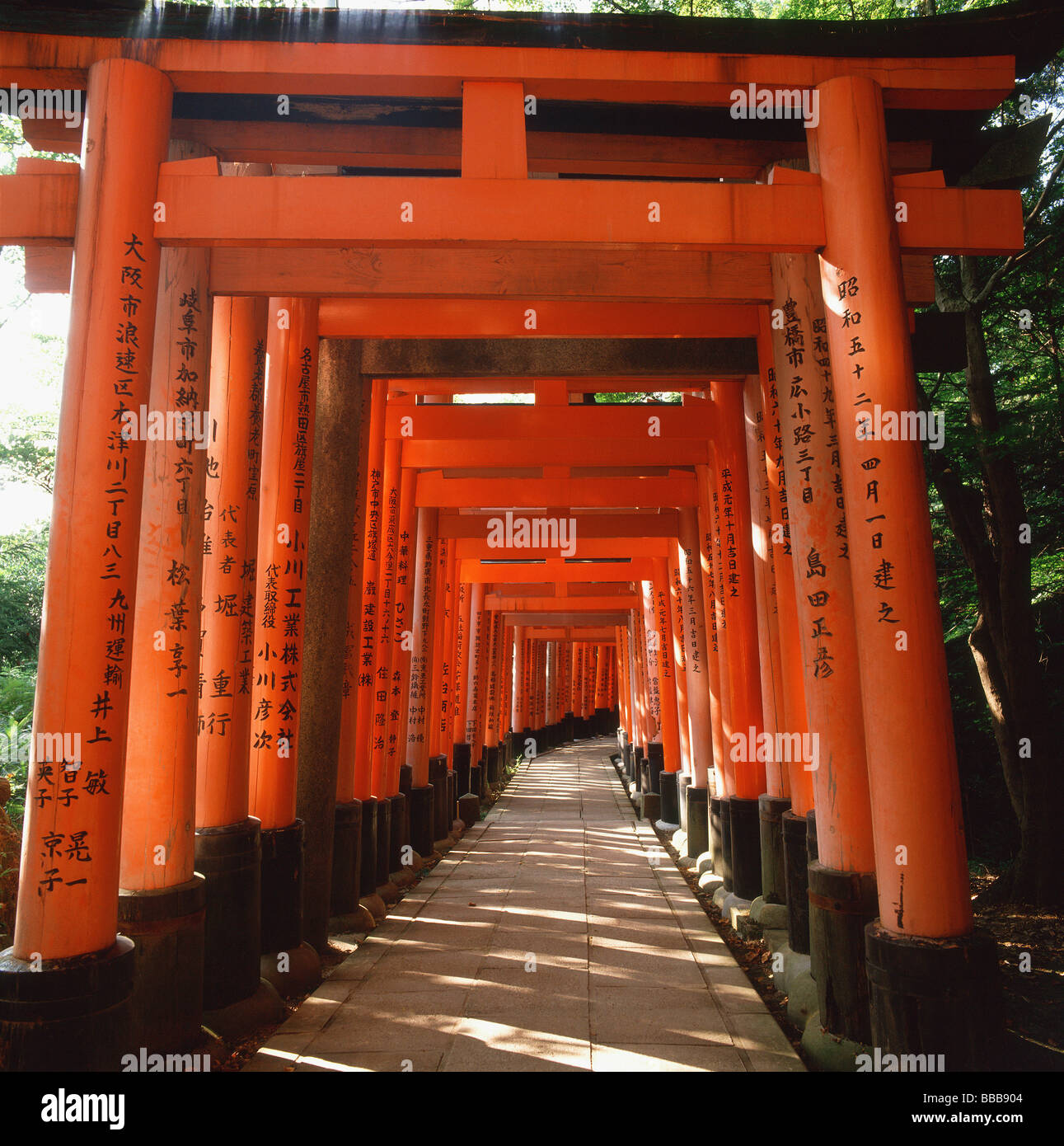 Japan, Kyoto, Fushimi Inari Shrine, Torii gates Stock Photo - Alamy