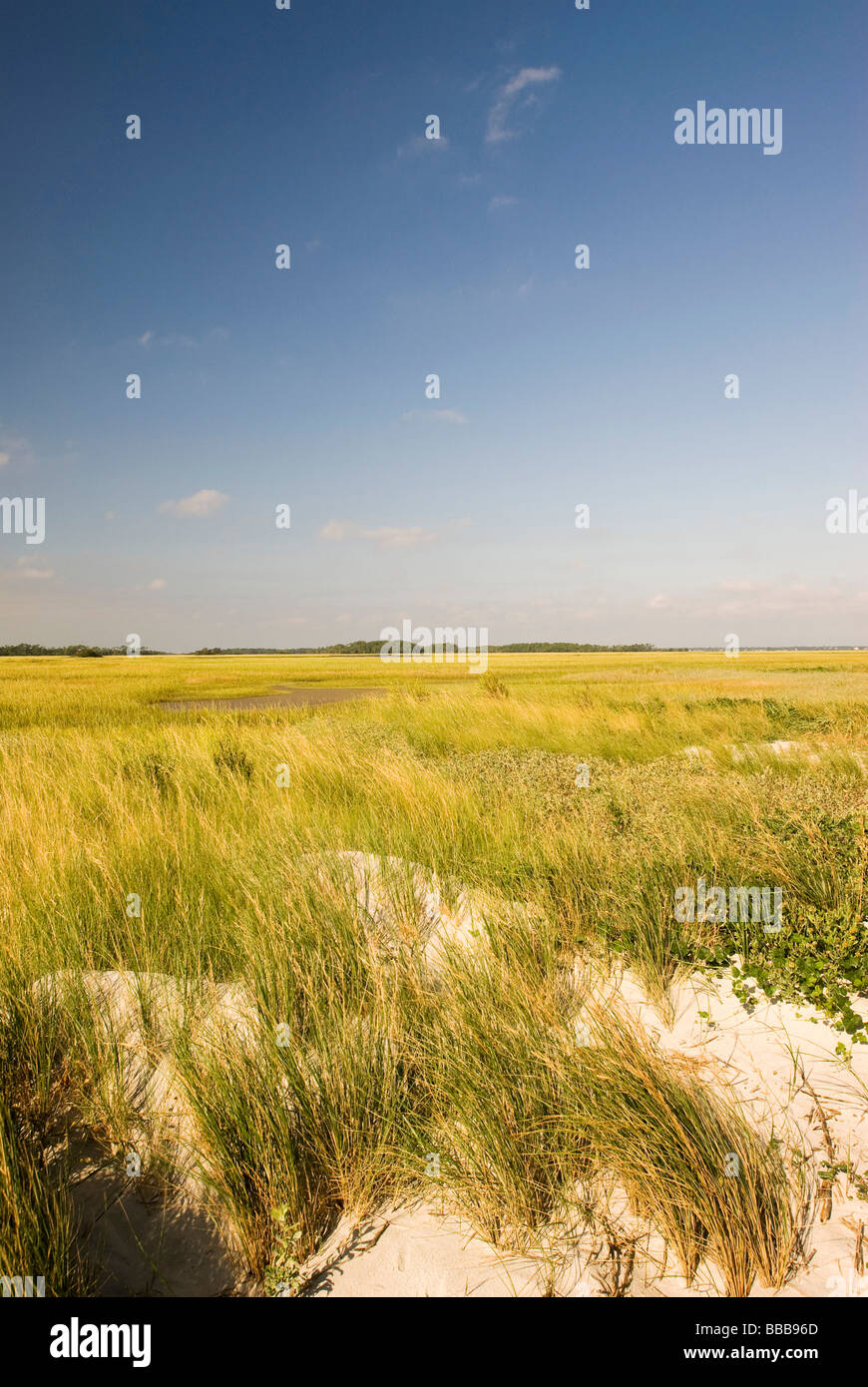 South carolina marsh hi-res stock photography and images - Alamy