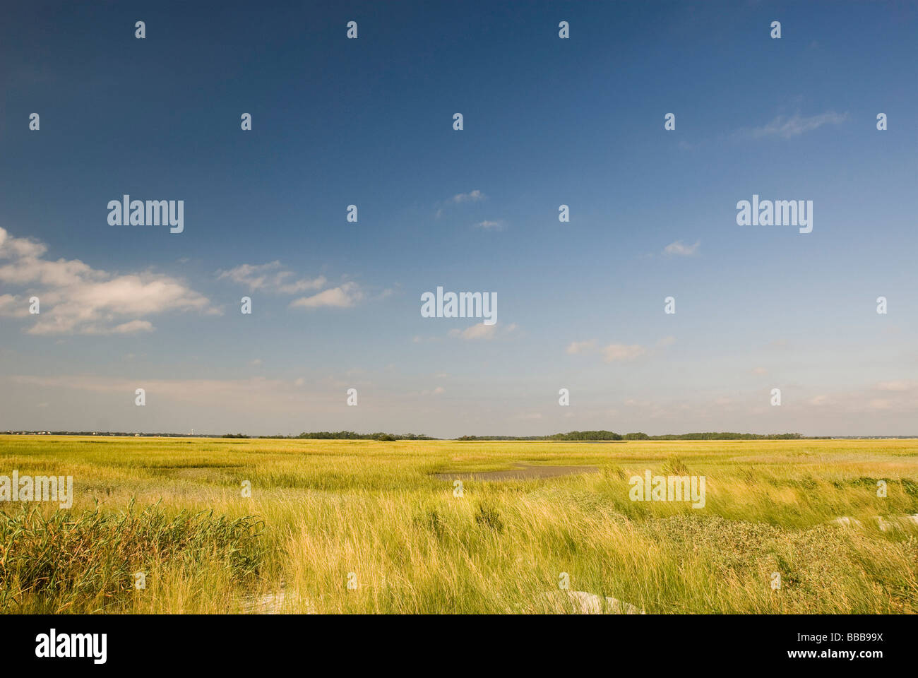 Charleston beaches hi-res stock photography and images - Alamy