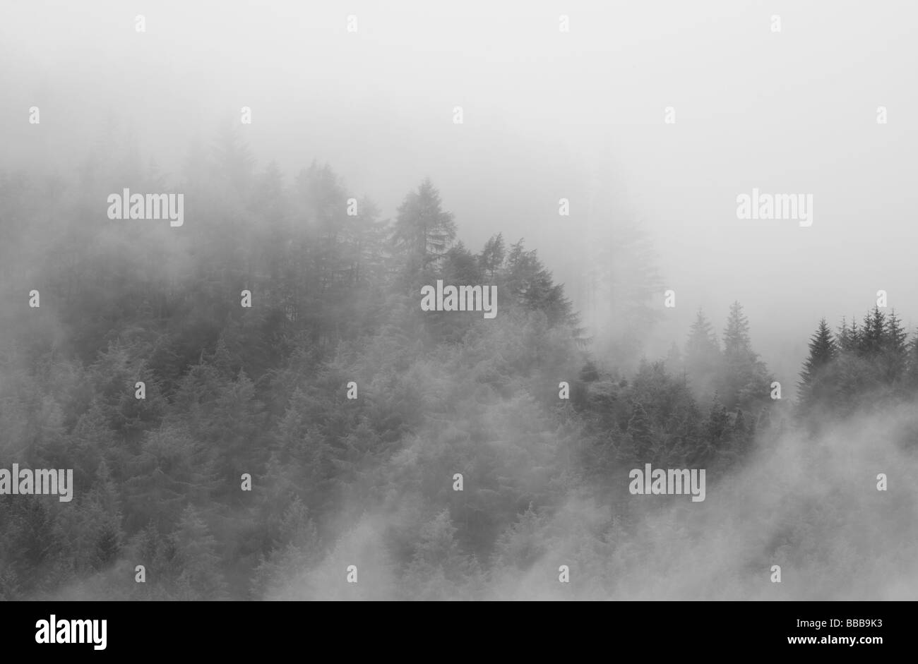 Scottish village mist hi-res stock photography and images - Alamy