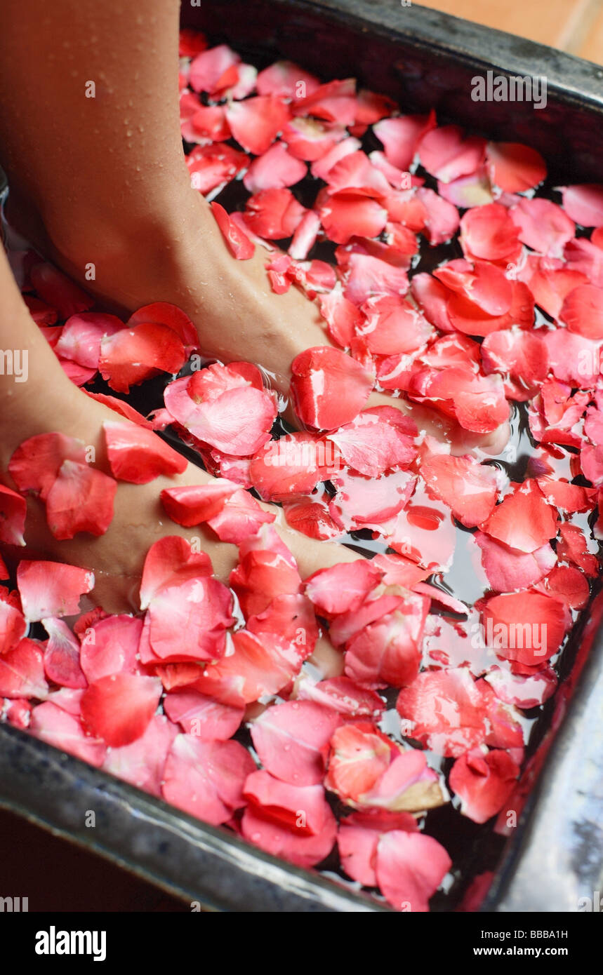 Womans feet in bowl of water filled with flower petals Stock Photo - Alamy