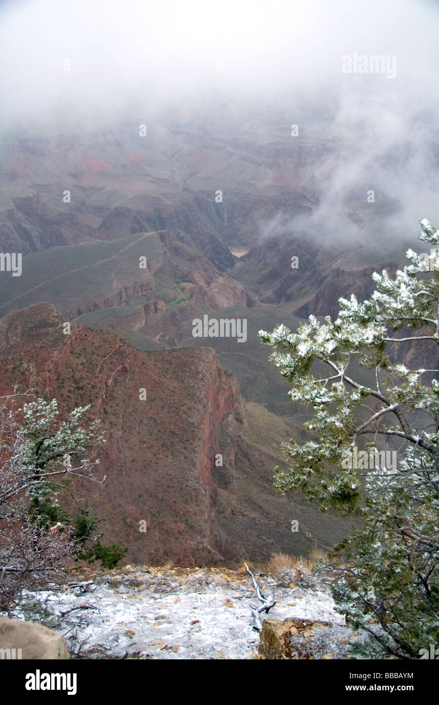 Snow storm at the South Rim of the Grand Canyon Arizona USA Stock Photo ...