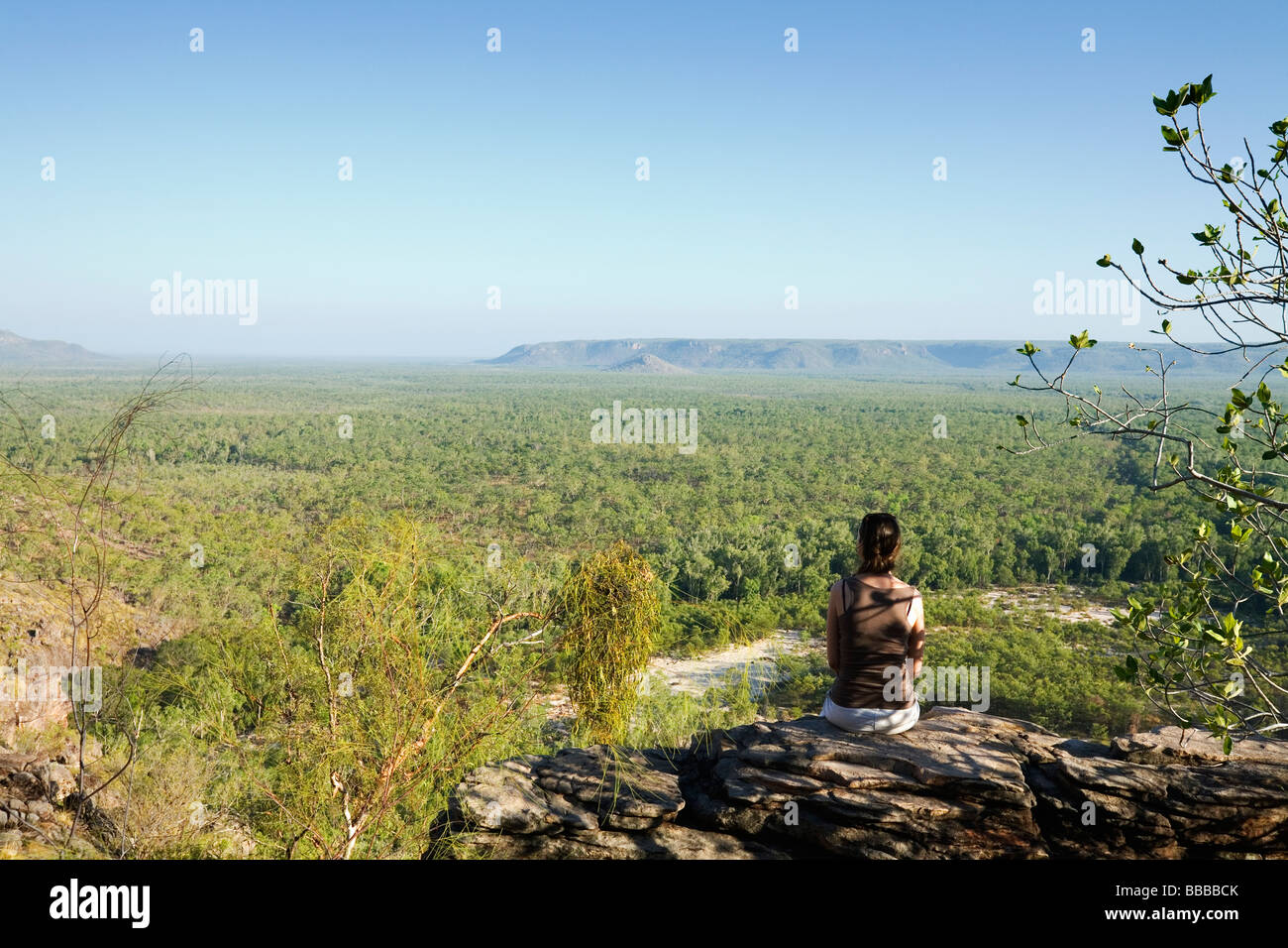 View over Kakadu from the Jim Jim Falls escarpment. Kakadu National Park, Northern Territory ...