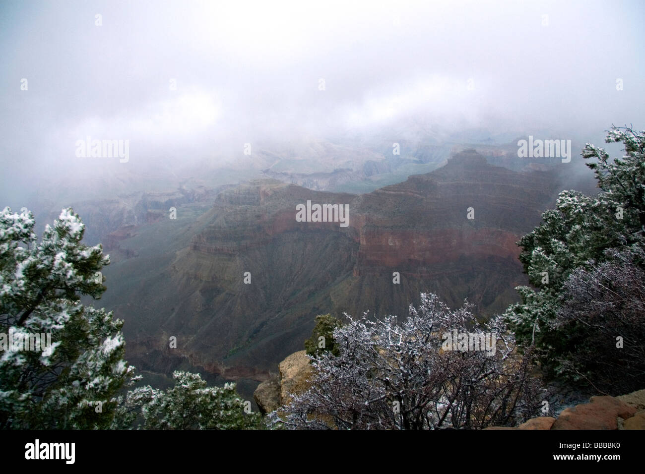 Snow storm at the South Rim of the Grand Canyon Arizona USA Stock Photo ...