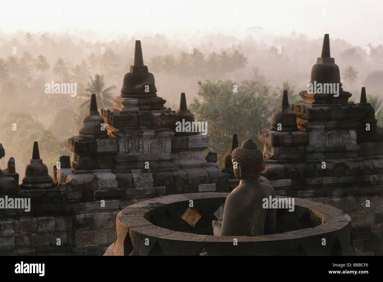 Indonesia, Java, Buddha figure at Borobudur temple, trees in background ...