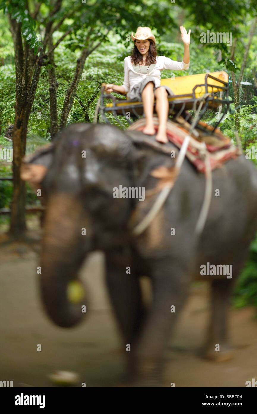 Elephant waving hi-res stock photography and images - Alamy