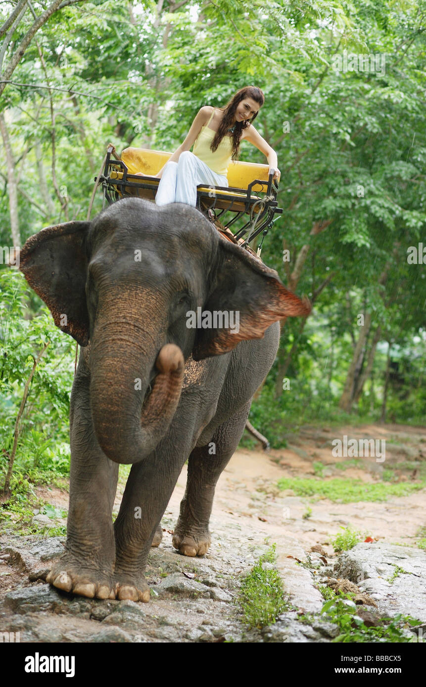 Female tourist riding elephant, Phuket, Thailand Stock Photo - Alamy