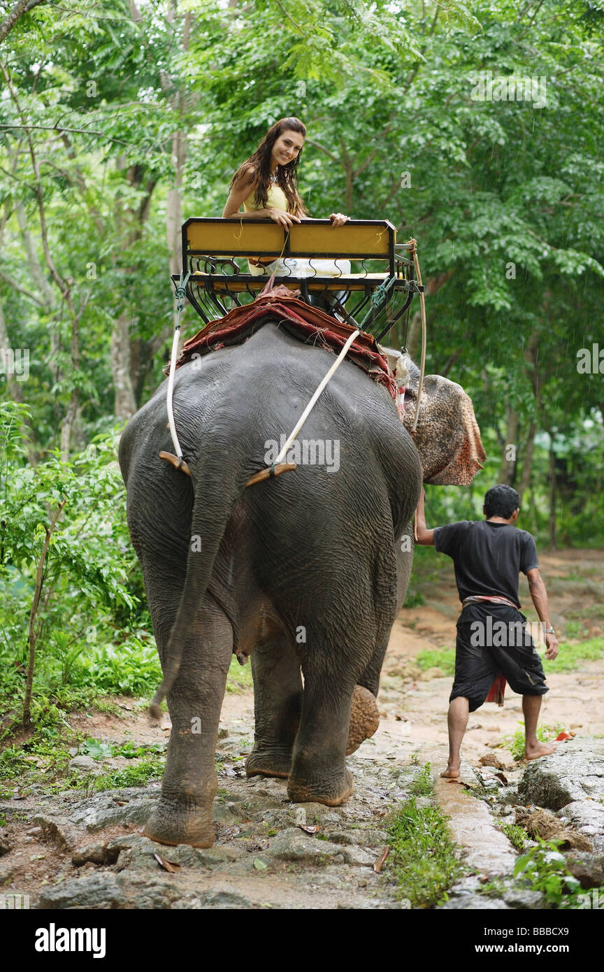 Female tourist riding an elephant, Phuket, Thailand Stock Photo - Alamy